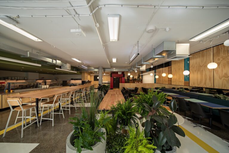 Gallery - Neo Construct